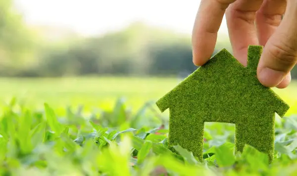 13 Ways to Encourage Green Living in Your Home