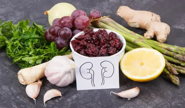 7 Best Foods to Support Kidney Function | Wake Up World