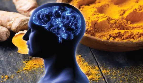 How WHOLE Turmeric Heals the Damaged Brain