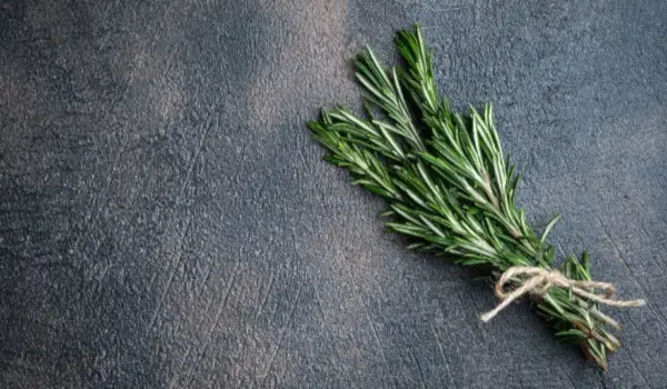 7 Reasons to Love Rosemary