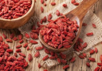 Goji Berries – A Link to Longevity? | Wake Up World