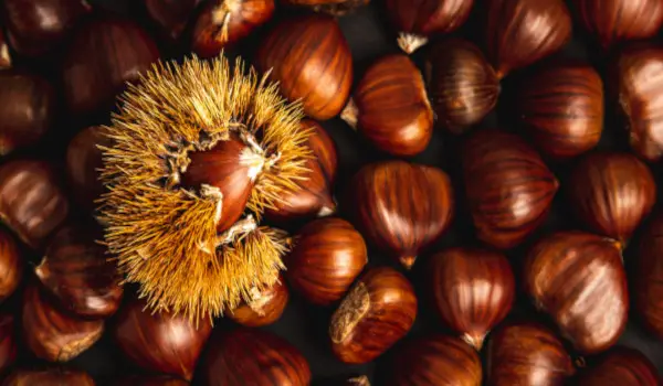 5 Health Benefits of Chestnuts