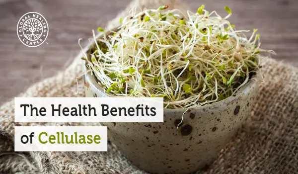 The Health Benefits of Cellulase | Wake Up World