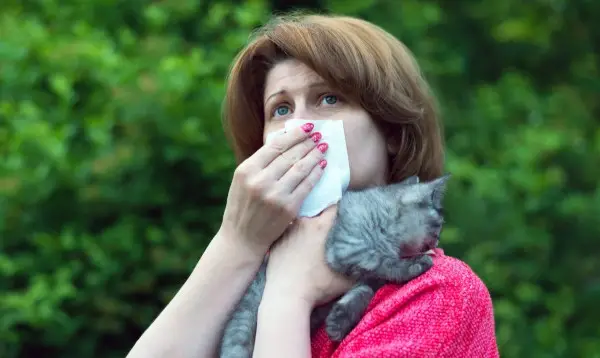 10 Effective Natural Solutions to Relieve Allergy Symptoms