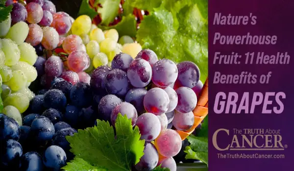 Nature’s Powerhouse Fruit: 11 Health Benefits of Grapes