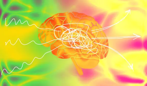 How to Easily Unlock Your Brain's Happiness Chemicals