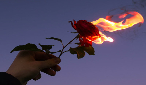 Self-Destructive Behavior: 17 Signs and Why it Happens