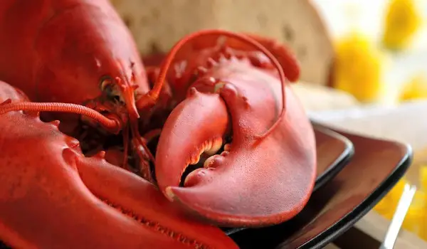 Should You Start Chowing Down on Chitin?