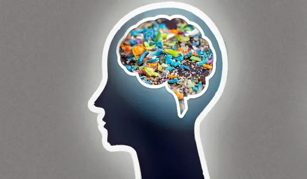 The Relationship of Nanoplastics & Neurological Disorders