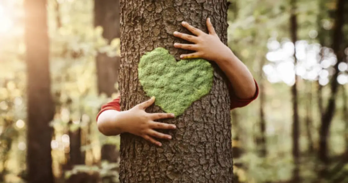 Feel Better Instantly: The Healing Powers of Hugging a Tree