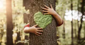 Feel Better Instantly: The Healing Powers of Hugging a Tree